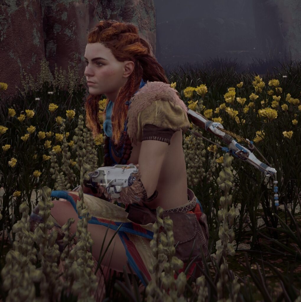 Horizon Zero Dawn にMOD導入【Vortex】【Aloy Explicit Outfits】 | ぱんはげメモ