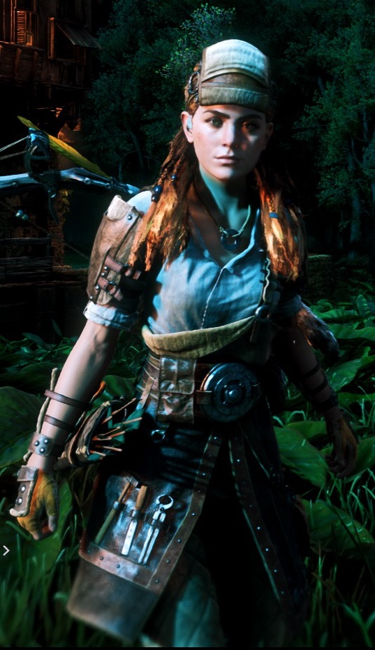 Horizon Zero Dawn に衣装MOD追加【Aloy Explicit Outfits シリーズ】【Vortex】 - ぱんはげメモ